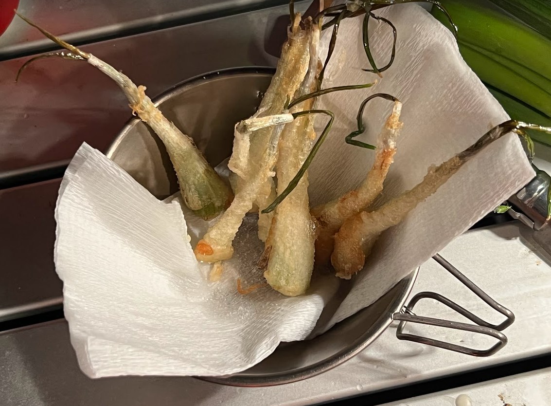 ENRO 窯焼き名人レビュー良い点・悪い点｜本格ナポリピッツァを焼いてみた！｜キャンプHACK・自由style