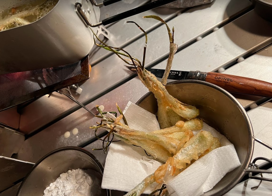 ENRO 窯焼き名人レビュー良い点・悪い点｜本格ナポリピッツァを焼いてみた！｜キャンプHACK・自由style